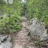 Hamilton Pool Park Trail, Texas - 379 Reviews, Map | AllTrails
