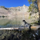 Baker Lake Trail, Idaho - 419 Reviews, Map | AllTrails