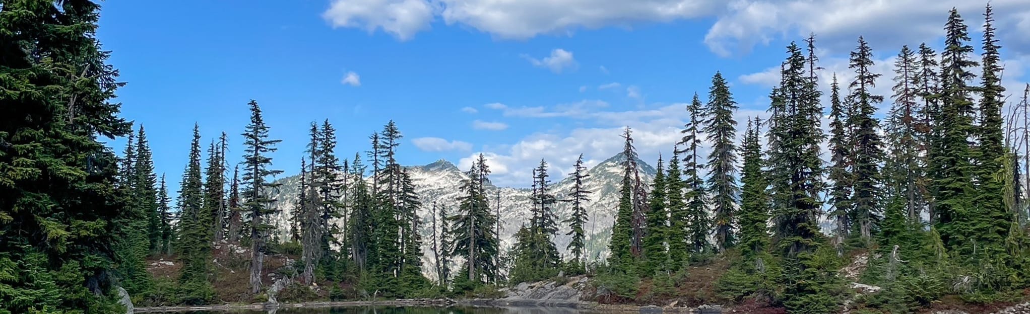 Cathedral Rock Trail, Washington - 172 Reviews, Map | AllTrails