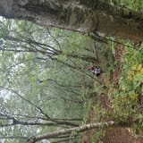 Amethyst Cove Trail, Nova Scotia, Canada - 353 Reviews, Map | AllTrails