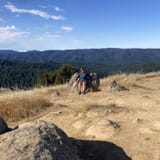 Hickory Oak Ridge Trail Loop, California - 232 Reviews, Map | AllTrails