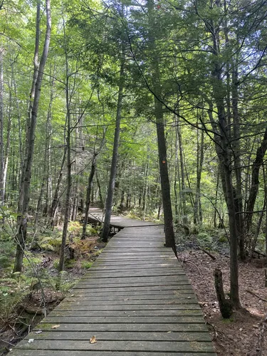 Best Hikes and Trails in Sorel‐Tracy | AllTrails