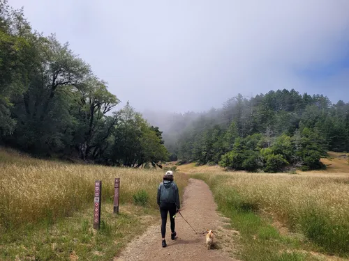 2023 Best Lake Trails in Mill Valley | AllTrails