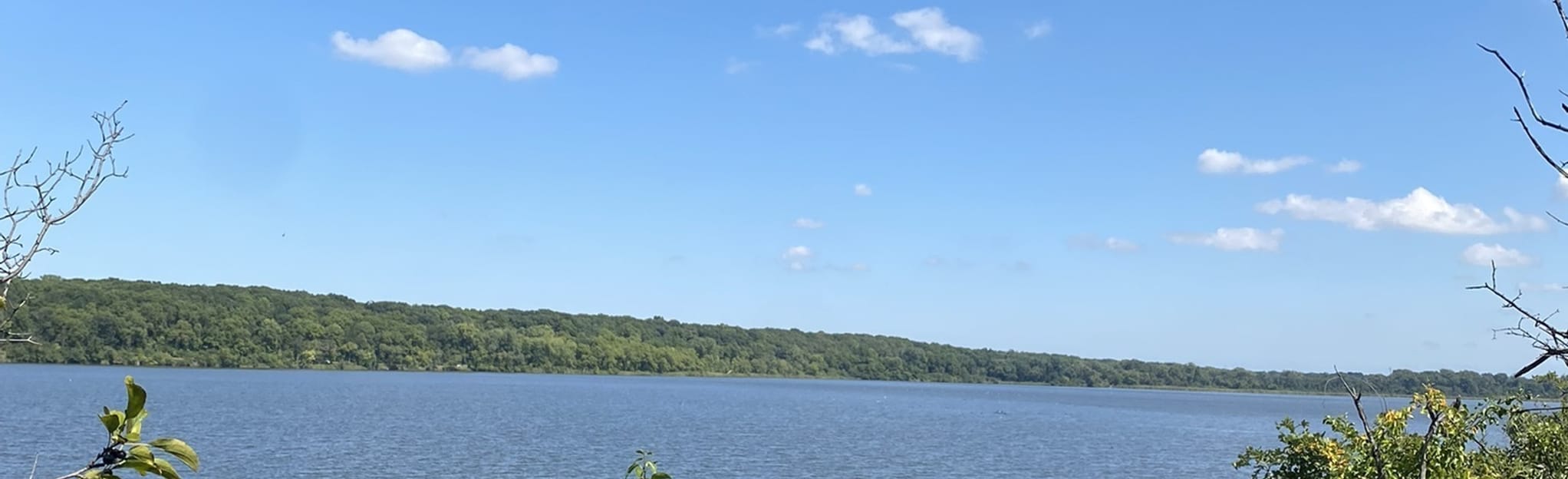 Saganashkee Slough, Illinois - 256 Reviews, Map | AllTrails