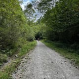 North Bend Rail-Trail, West Virginia - 127 Reviews, Map | AllTrails