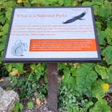Swiftcurrent Nature Trail, Montana - 797 Reviews, Map | AllTrails
