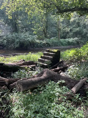 Best Hikes and Trails in Louis W. Scott Memorial Park | AllTrails