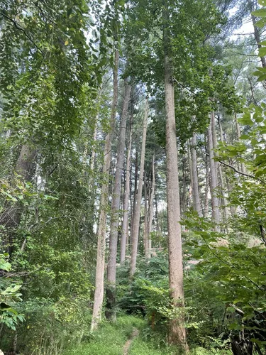Best Hikes and Trails in Louis W. Scott Memorial Park | AllTrails