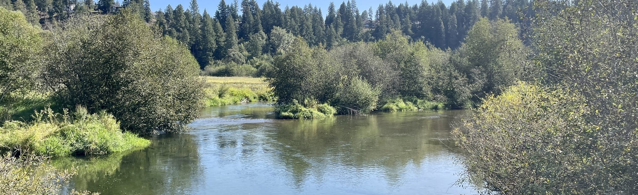 Little Spokane River: Waikiki Springs Trail, Washington - 1,298 Reviews ...