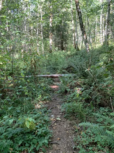 Best Hikes and Trails in Agate Bay Preserve | AllTrails