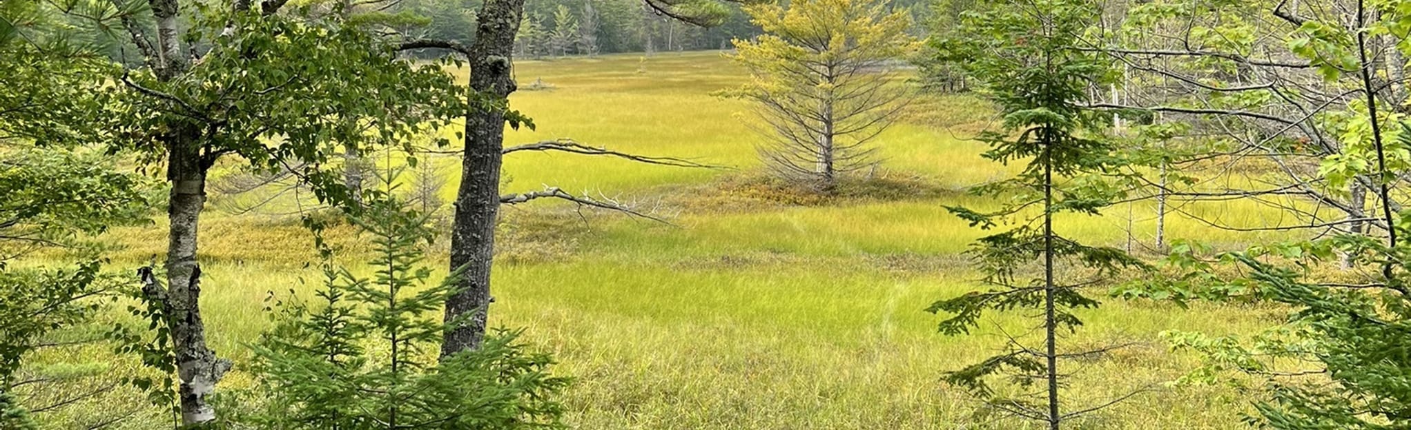 Anderson Point Trail to Julian Bay Trail, Wisconsin - 12 Reviews, Map ...