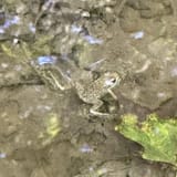 Shaker Mountain Loop via Shaker Trail, Massachusetts - 490 Reviews, Map ...