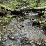 Shaker Mountain Loop via Shaker Trail, Massachusetts - 490 Reviews, Map ...