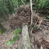 Shaker Mountain Loop via Shaker Trail, Massachusetts - 490 Reviews, Map ...