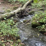 Shaker Mountain Loop via Shaker Trail, Massachusetts - 490 Reviews, Map ...