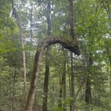 Shaker Mountain Loop via Shaker Trail, Massachusetts - 490 Reviews, Map ...