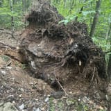 Shaker Mountain Loop via Shaker Trail, Massachusetts - 490 Reviews, Map ...