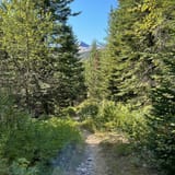Fault Lake, Idaho - 268 Reviews, Map | AllTrails