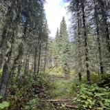 Bisaro Cave via Heiko's Trail, British Columbia, Canada - 69 Reviews ...