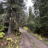 Bisaro Cave via Heiko's Trail, British Columbia, Canada - 69 Reviews ...