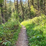Truman Gulch Trail, Montana - 391 Reviews, Map | AllTrails