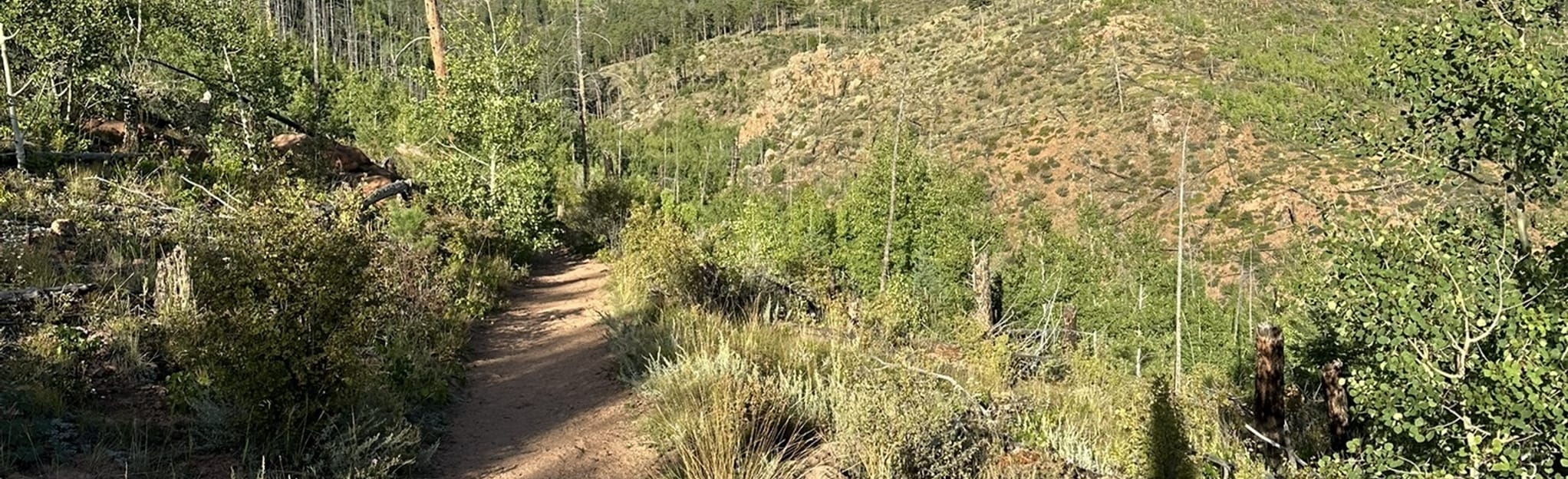 Goose Creek Trail: 427 Reviews, Map - Colorado | AllTrails