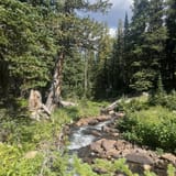 Mitchell Lake Trail, Colorado - 553 Reviews, Map | AllTrails