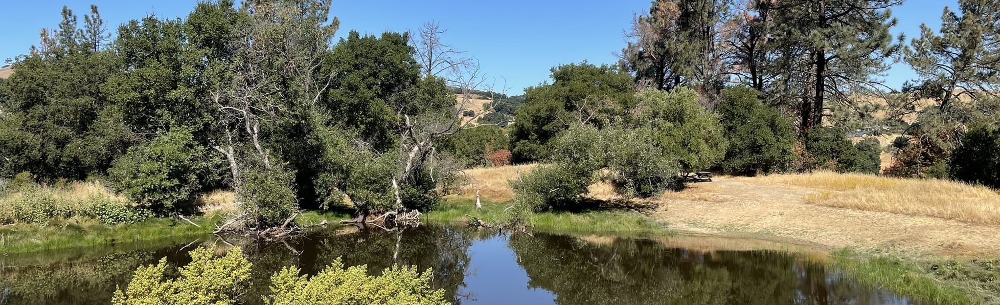Orchard, Toyon Canyon, Briones Crest, Spengler and Diablo View Loop ...