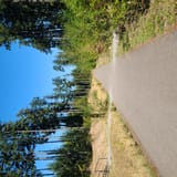 Overlook Loop, Washington - 229 Reviews, Map | AllTrails