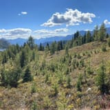 Sunshine Meadows, Alberta, Canada - 214 Reviews, Map | AllTrails