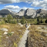 Sunshine Meadows, Alberta, Canada - 214 Reviews, Map | AllTrails
