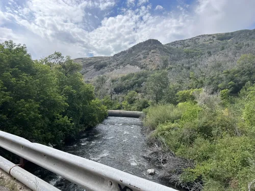 Best Hikes and Trails in Provo Canyon | AllTrails