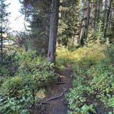 Two Ocean Lake Trail, Wyoming - 356 Reviews, Map | AllTrails