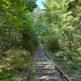 Wesley Ridge, British Columbia, Canada - 716 Reviews, Map | AllTrails