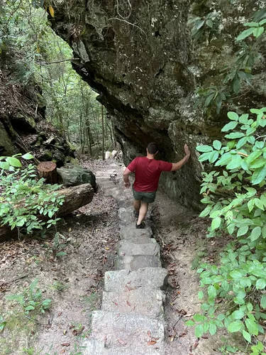 2023 Best Forest Trails in Carter | AllTrails