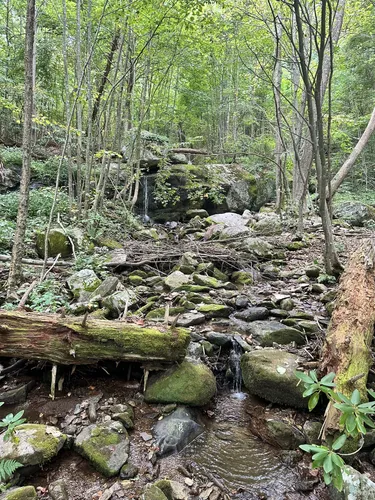 2023 Best River Trails in Natural Bridge Station | AllTrails