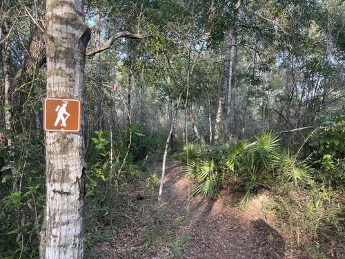 Best Hikes and Trails in Garcon Point Water Management Area | AllTrails