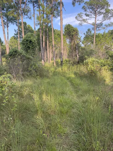 Best Hikes and Trails in Garcon Point Water Management Area | AllTrails