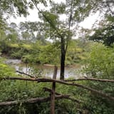 Hominy Creek Greenway, North Carolina - 426 Reviews, Map | AllTrails