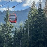 Crystal Mountain Loop, Washington - 621 Reviews, Map | AllTrails