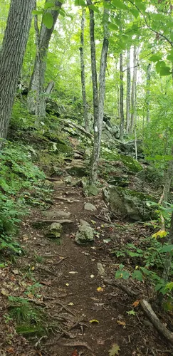 Best Hikes and Trails in Kent Falls State Park | AllTrails