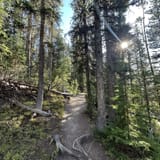 Point Sublime via Artist Point, Montana - 545 Reviews, Map | AllTrails