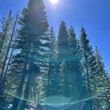 Brockway Summit to Mount Baldy Loop, California - 183 Reviews, Map ...