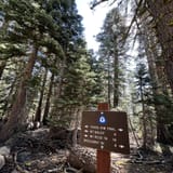 Brockway Summit to Mount Baldy Loop, California - 134 Reviews, Map ...