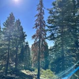 Brockway Summit to Mount Baldy Loop, California - 183 Reviews, Map ...