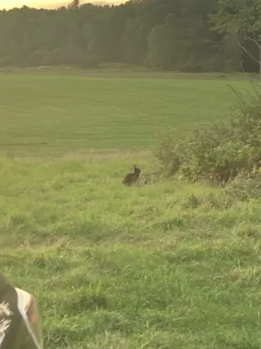 Best Hikes and Trails in Beebe Plain | AllTrails