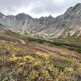 Matanuska Peak Trail, Alaska - 347 Reviews, Map | AllTrails
