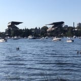 Foster Island Trail, Washington - 687 Reviews, Map | AllTrails