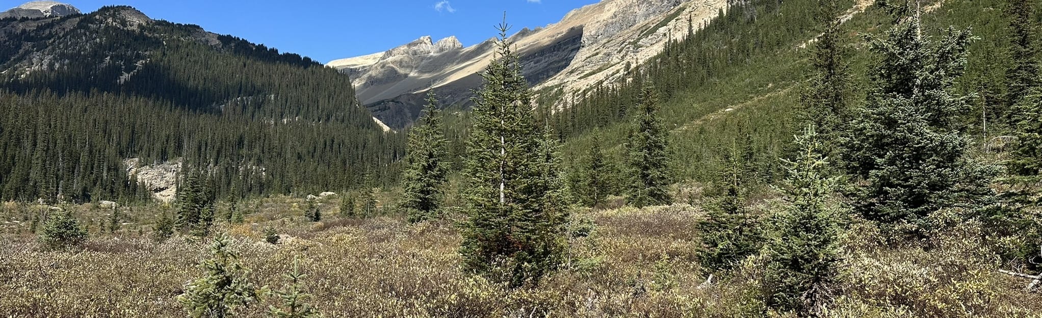 Mount Niles and Niles Meadows: 105 Reviews, Map - British Columbia ...