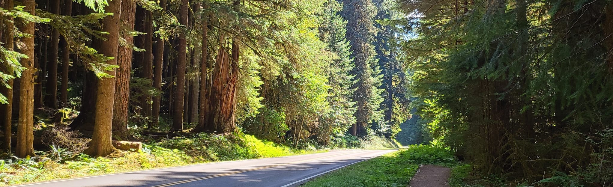 Ancient Groves Nature Trail, Washington - 591 Reviews, Map | AllTrails